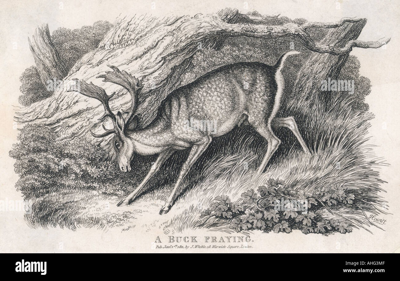 Fraying hi-res stock photography and images - Alamy