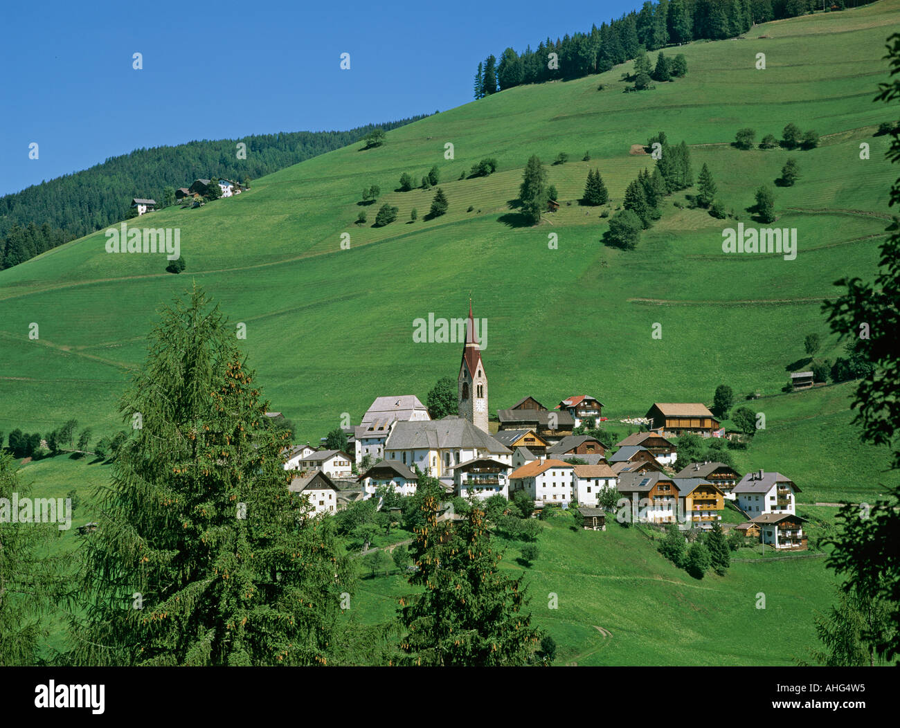 Small village above the Abtei valley, Viles, South Tyrol, Italy Stock ...