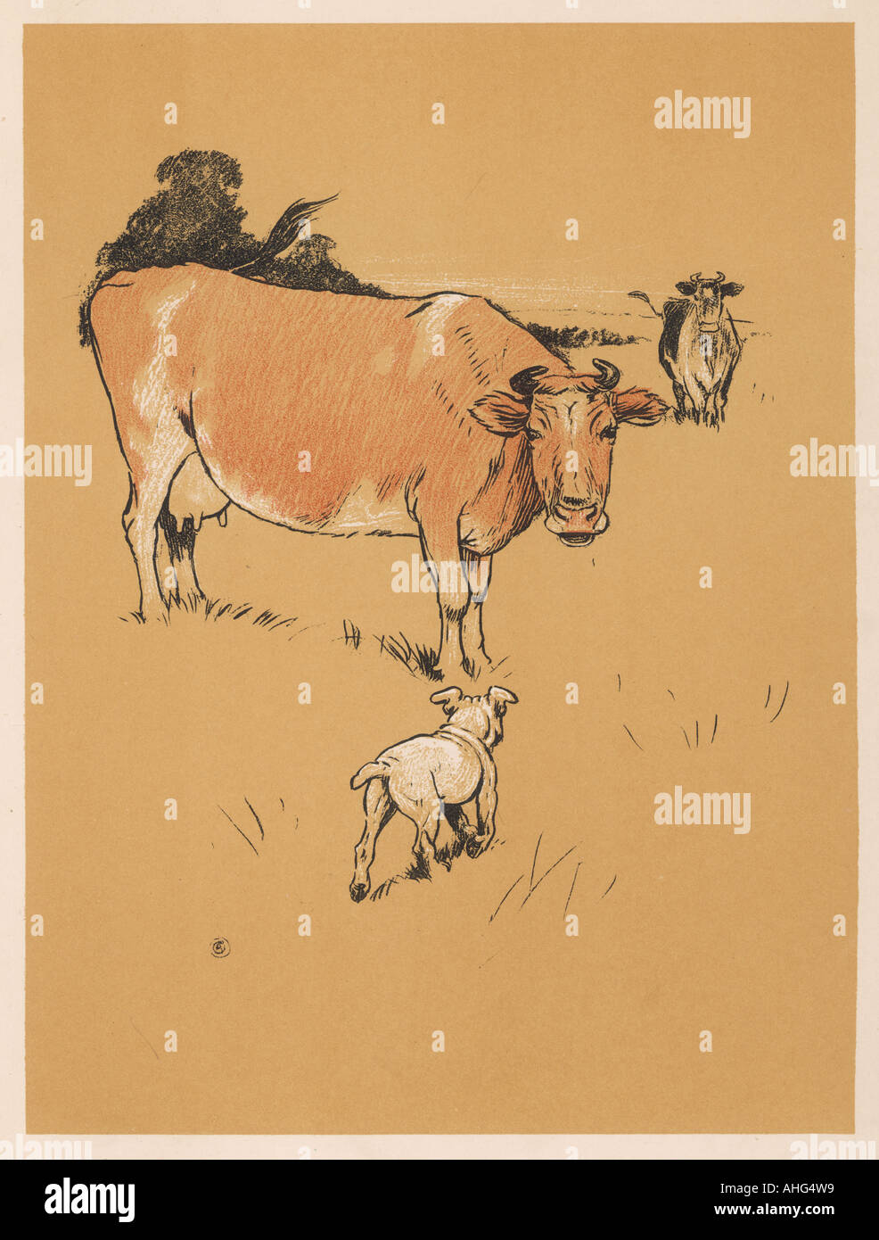 Cow and dog hi-res stock photography and images - Alamy