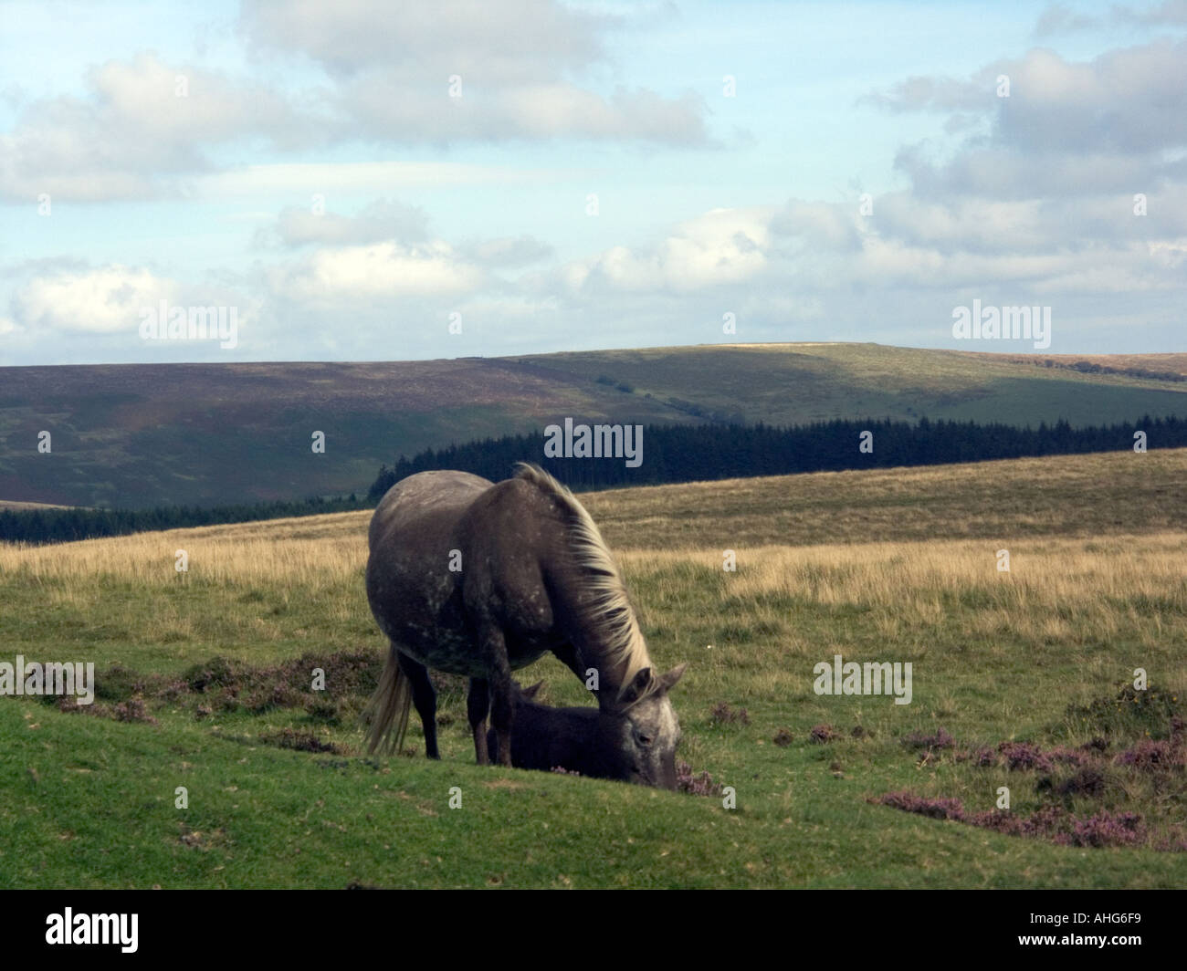 Rustic england uk english countryside great hi-res stock photography ...