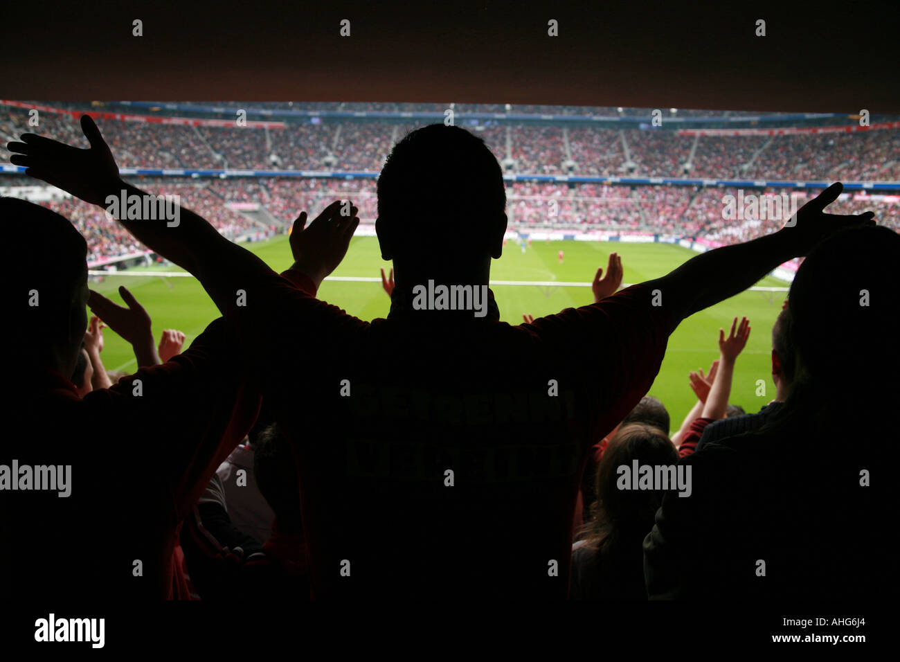 people encouraging their team during a sports game in a stadion Stock ...