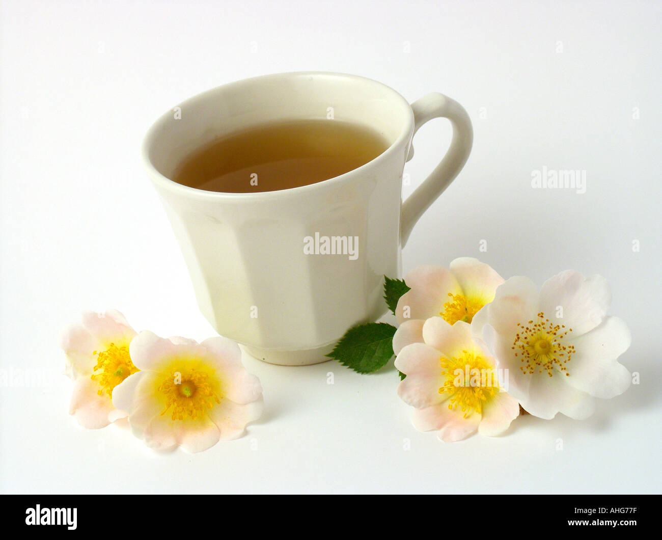 Infusión rosa hi-res stock photography and images - Alamy