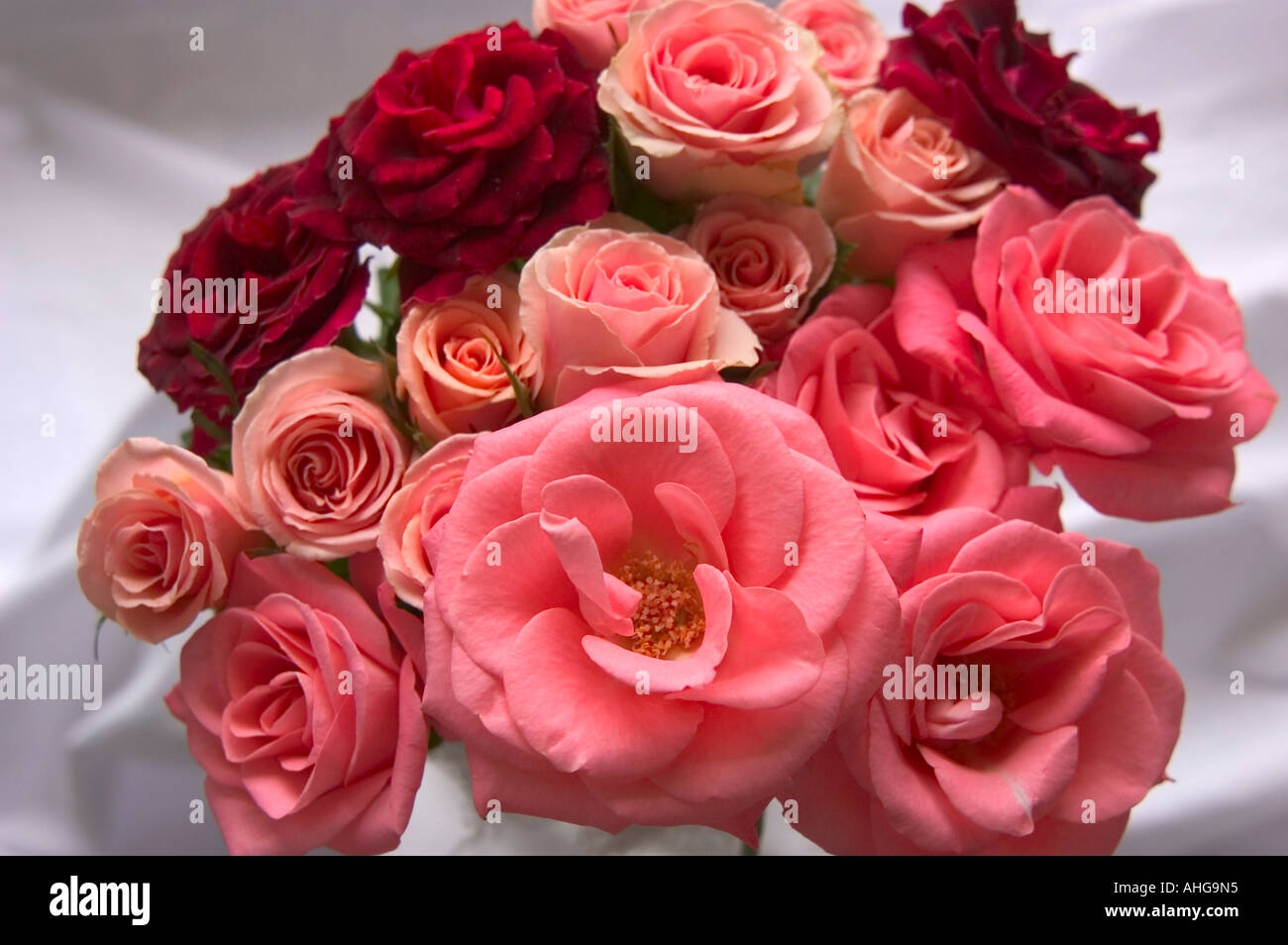 Petite blooms hi-res stock photography and images - Alamy