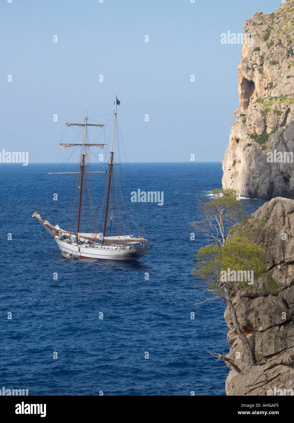 Colabra hi-res stock photography and images - Alamy