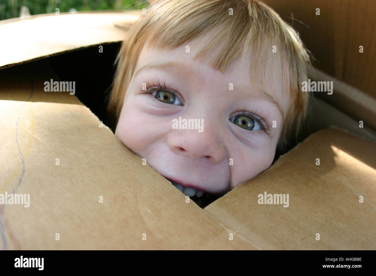 child peeking out of cardboard box Stock Photo - Alamy