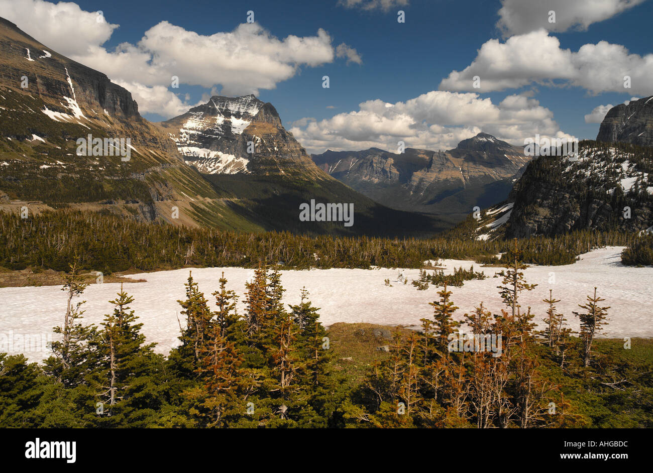 Late Spring snow on the ground in Glacier National Park in Northern ...