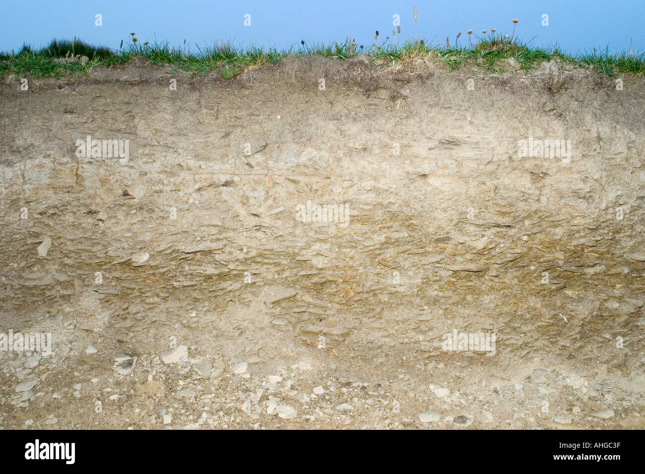 cross section of eroded soil Stock Photo - Alamy