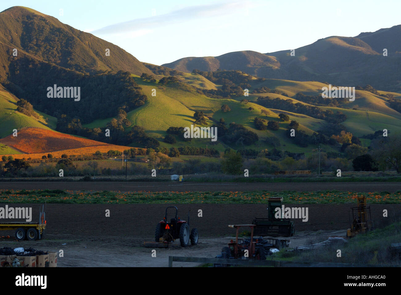 Buellton farm hi-res stock photography and images - Alamy