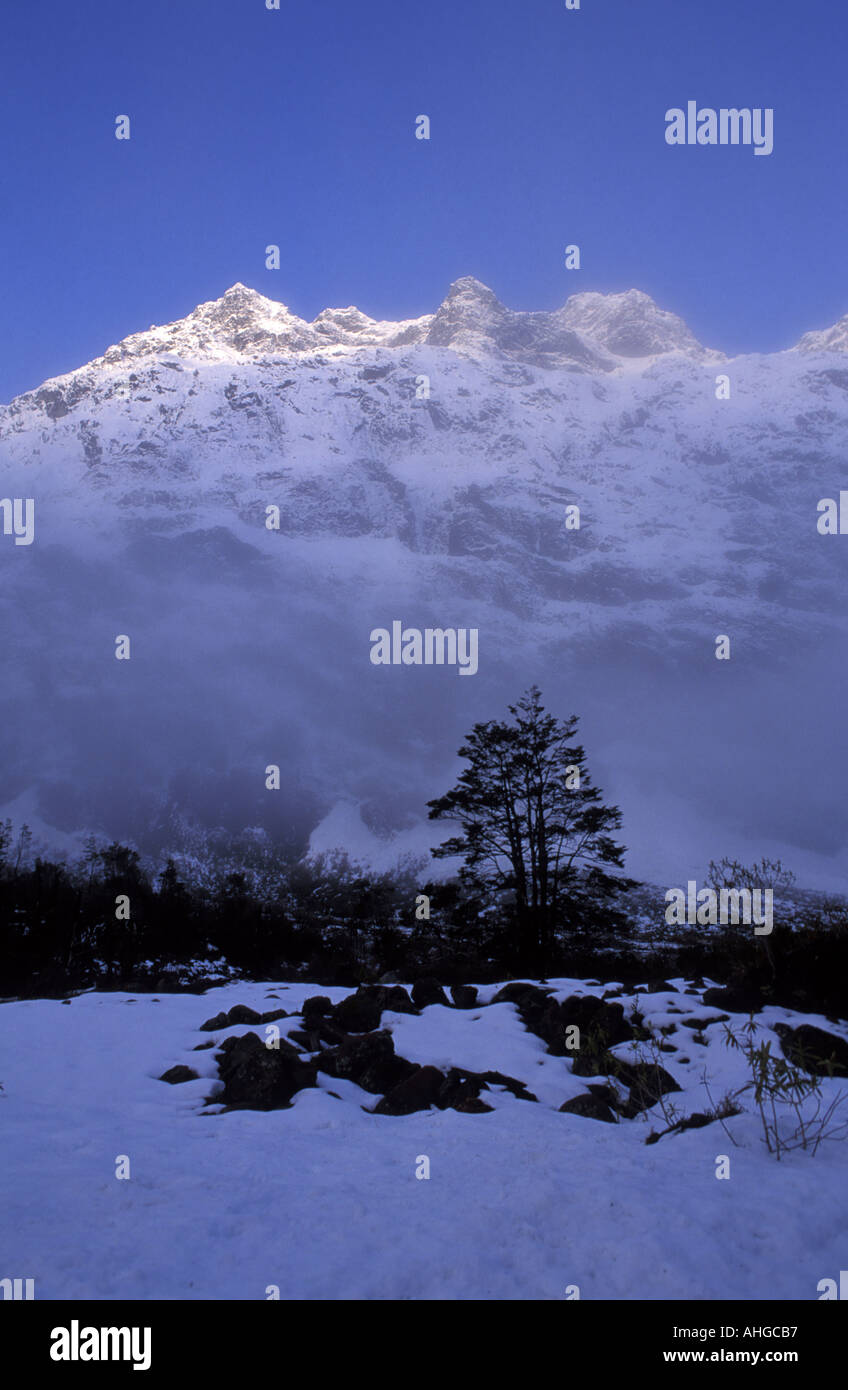 Alpine Scene Fiordland National Park New Zealand Stock Photo - Alamy