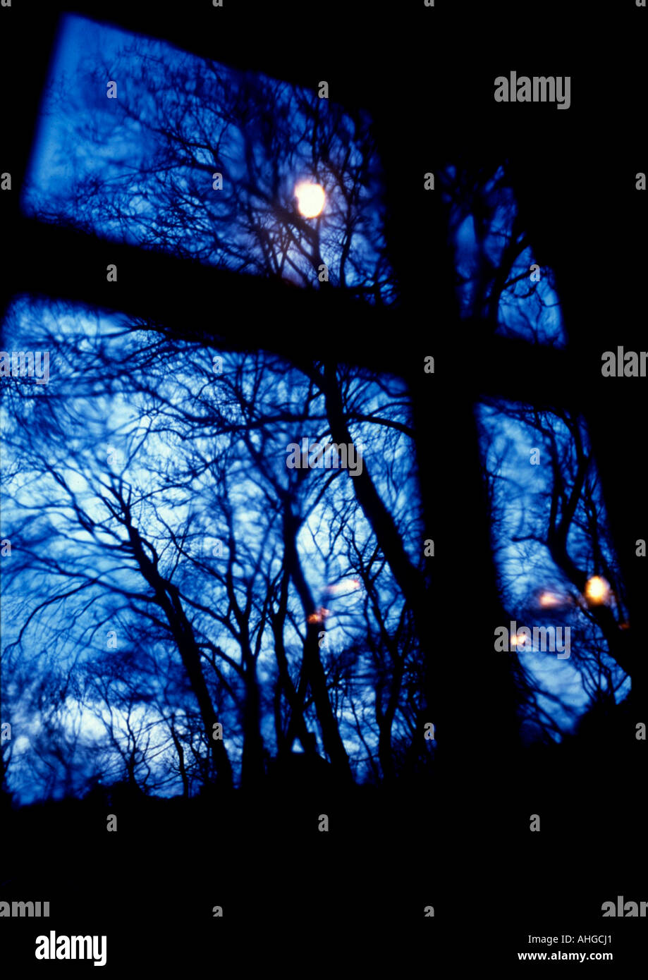 Scary trees showing through a window Stock Photo - Alamy