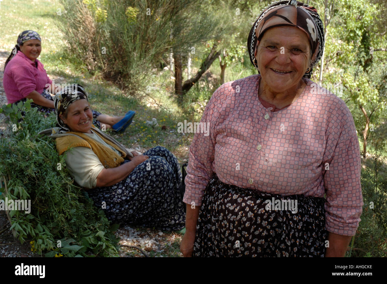Traditional older turkish woman elderly hi-res stock photography and ...