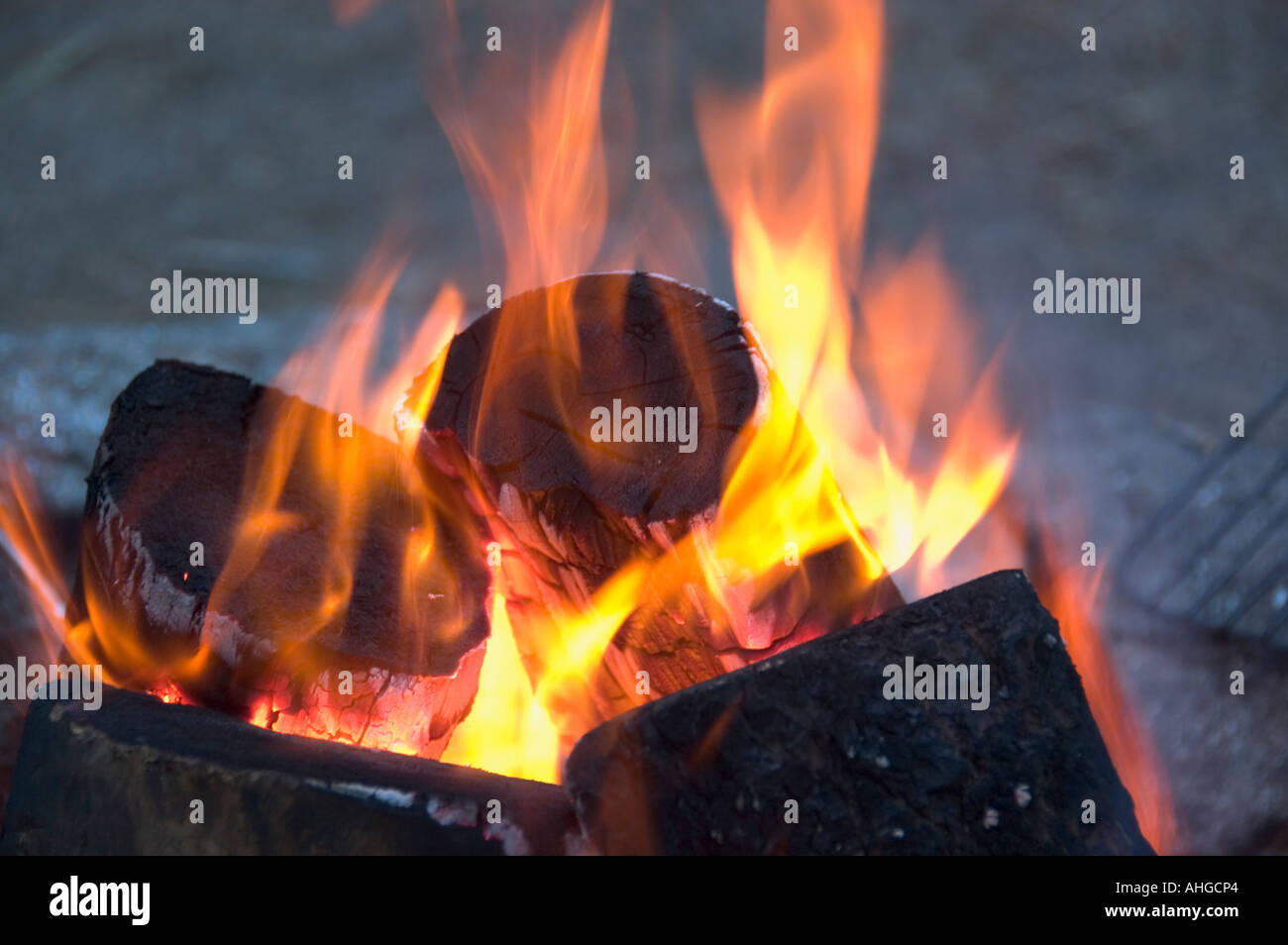 Wood burns in a camp fire pit Stock Photo - Alamy