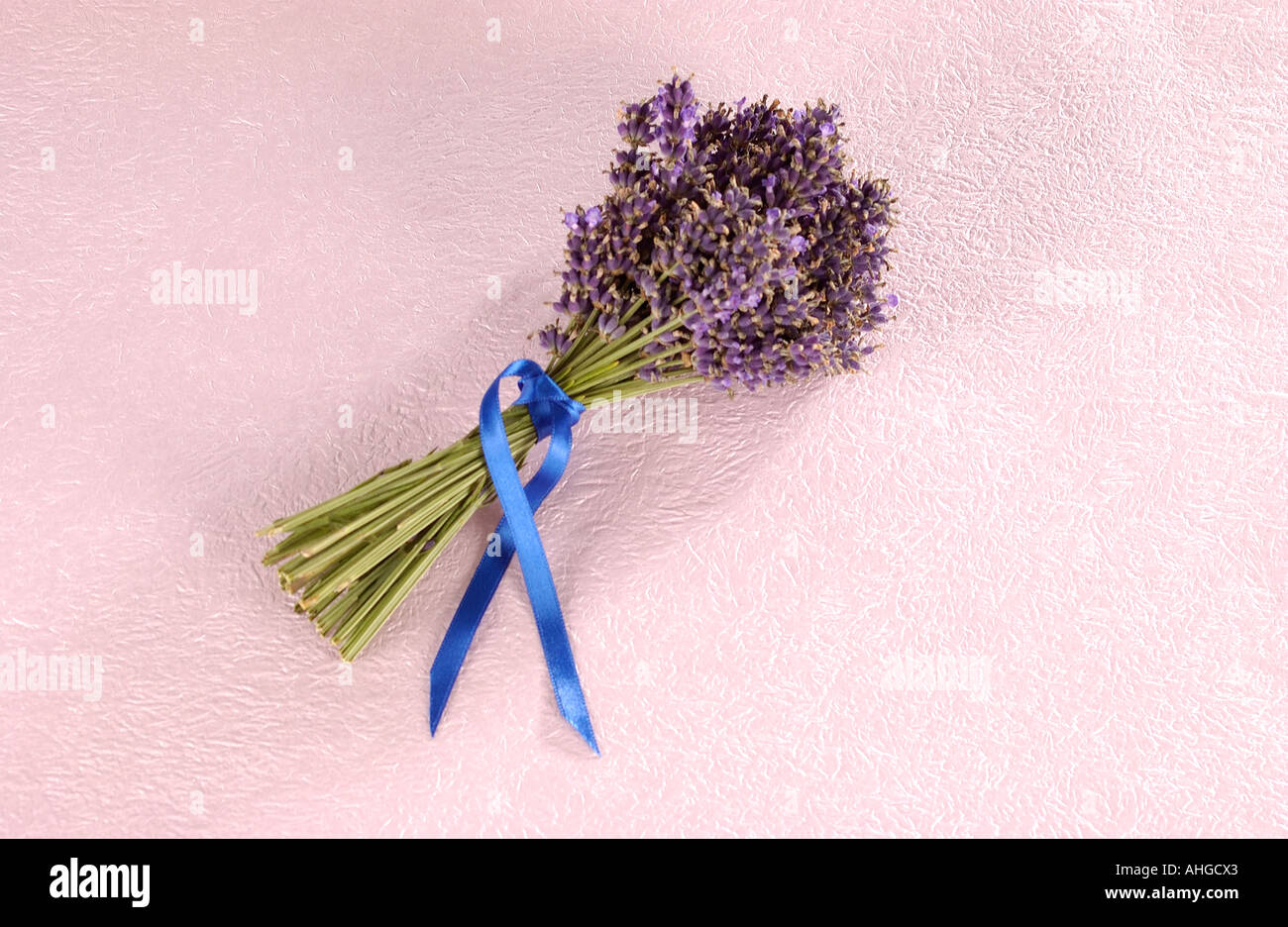 Bunch of Lavender (L.spica 'Hidcote' Stock Photo - Alamy