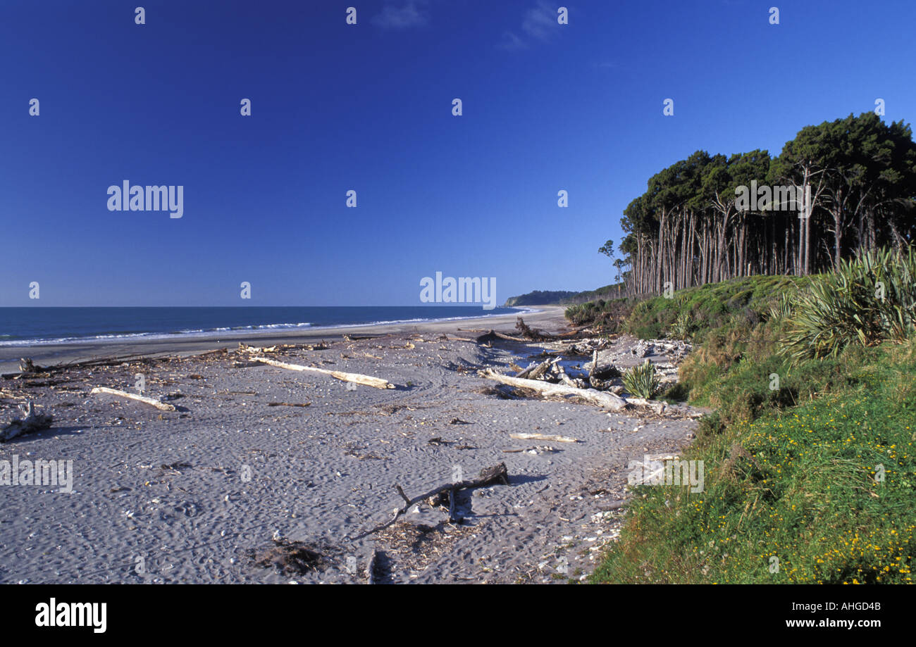 Bruce Bay, Westland, New Zealand Stock Photo - Alamy