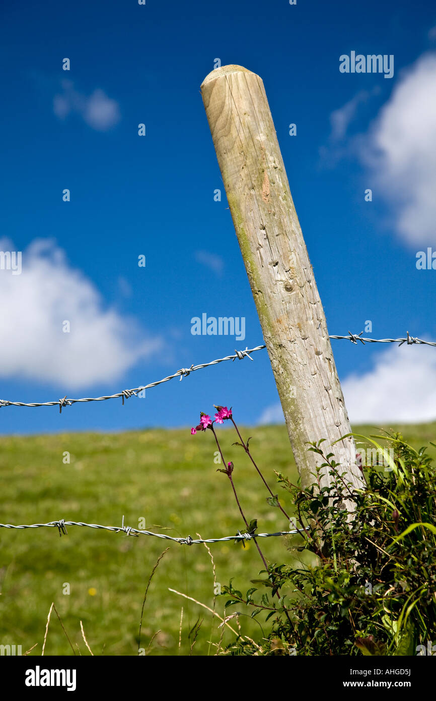 Sunlit post and wire fence hi-res stock photography and images - Alamy