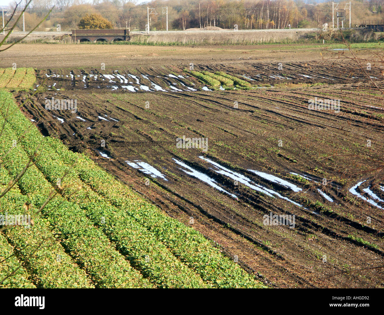 Waterlogged Fields Hopwas 1 Stock Photo - Alamy
