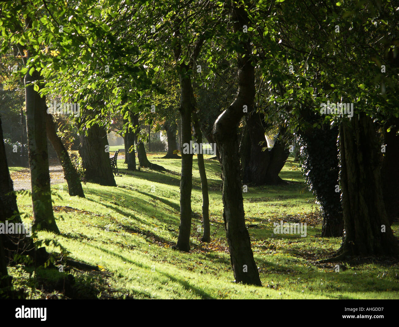 Tamworth scene hi-res stock photography and images - Alamy