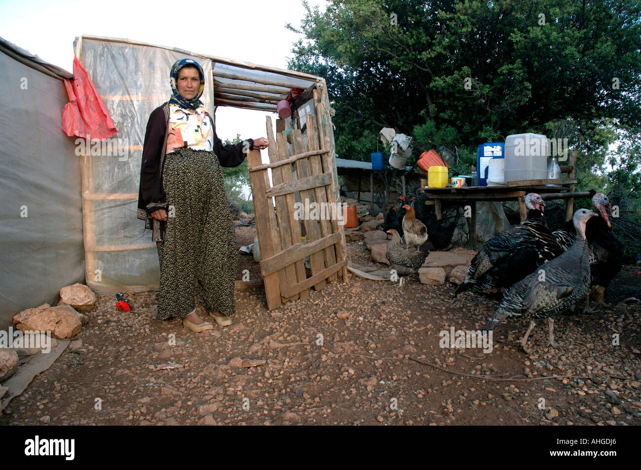 Kurdish nomadic pregnant couple up in the hills of Southern Turkey near ...