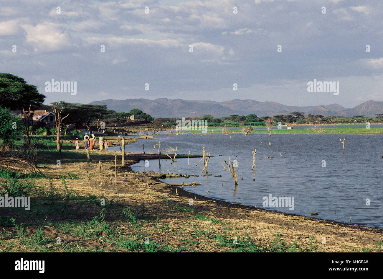 Lake Baringo in the Great Rift Valley Kenya East Africa Stock Photo - Alamy