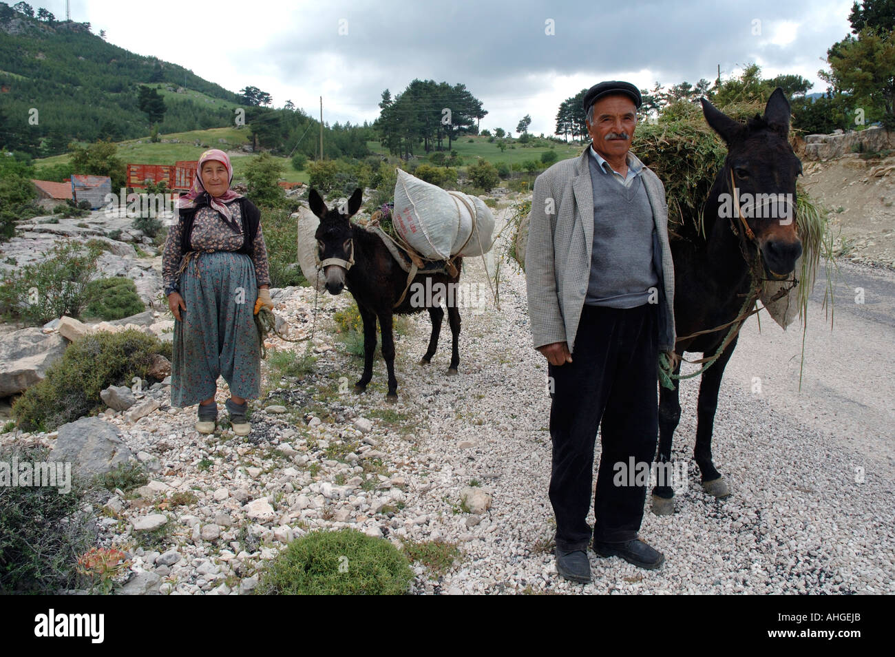 Turkish Man and woman on the road with their donkey loaded up with ...