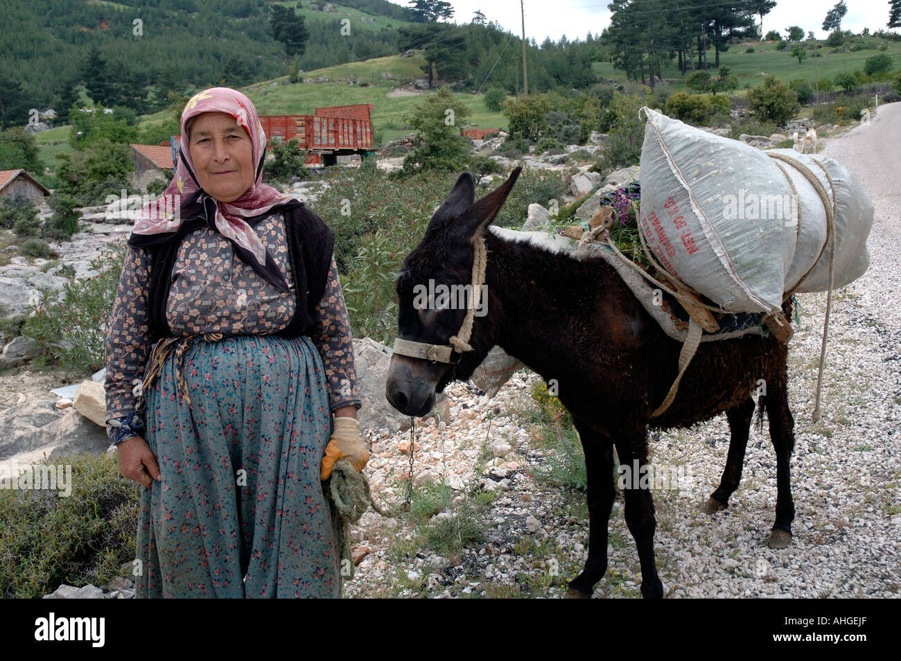 Turkish Man and woman on the road with their donkey loaded up with ...