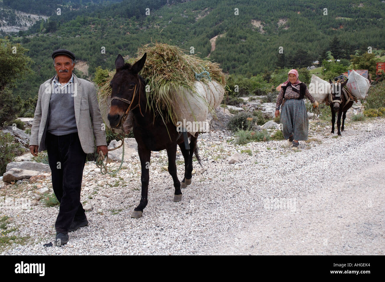 Turkish Man and woman on the road with their donkey loaded up with ...
