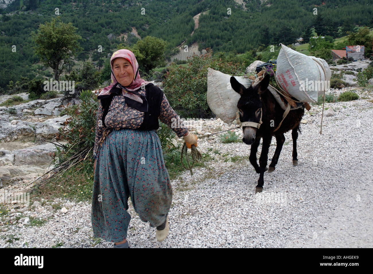 Turkish woman on the road with their donkey loaded up with crops in ...