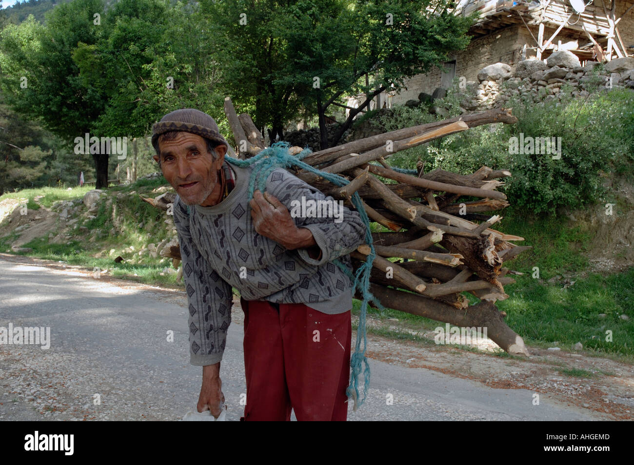 Man carrying heavy load of sticks he has collected for winter fuel ...