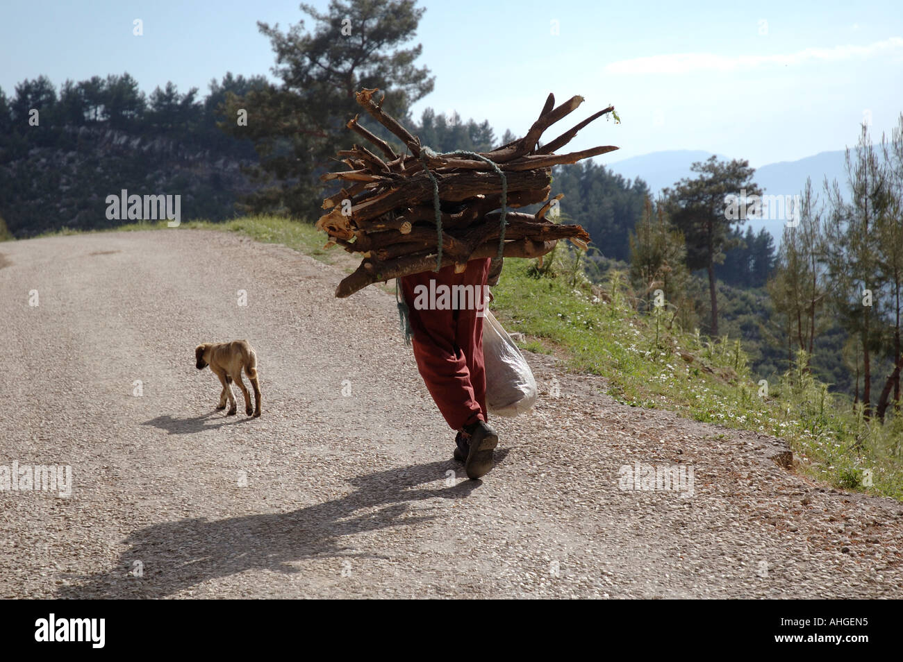 Man bent over carrying heavy load hi-res stock photography and images ... Man bent over carrying heavy load hi-res stock photography and images ...
