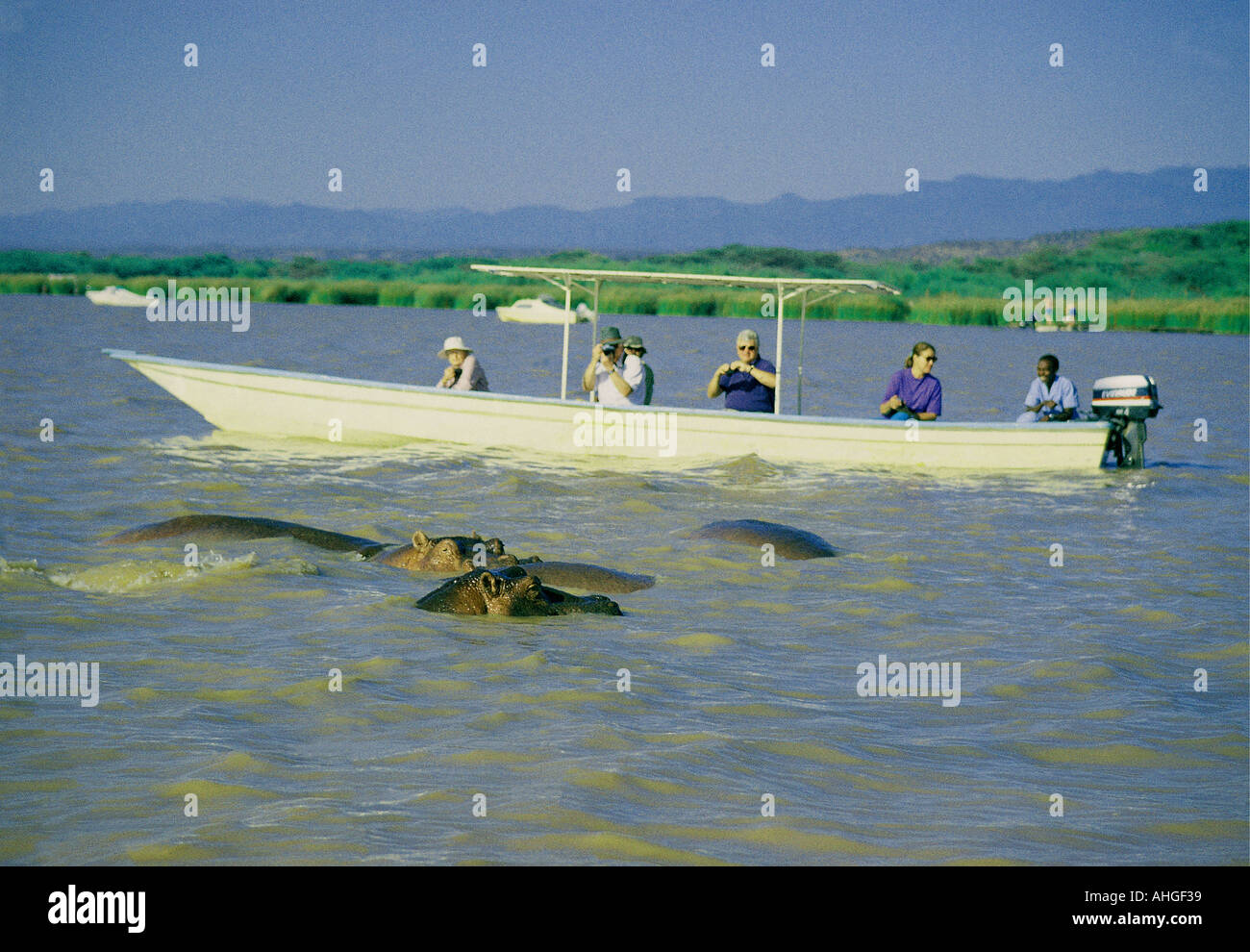Tourist enjoying a sight seeing motor boat ride close to hippos on Lake ...