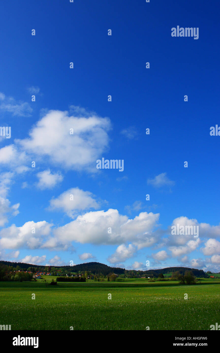 a beautiful summer landscape Stock Photo - Alamy