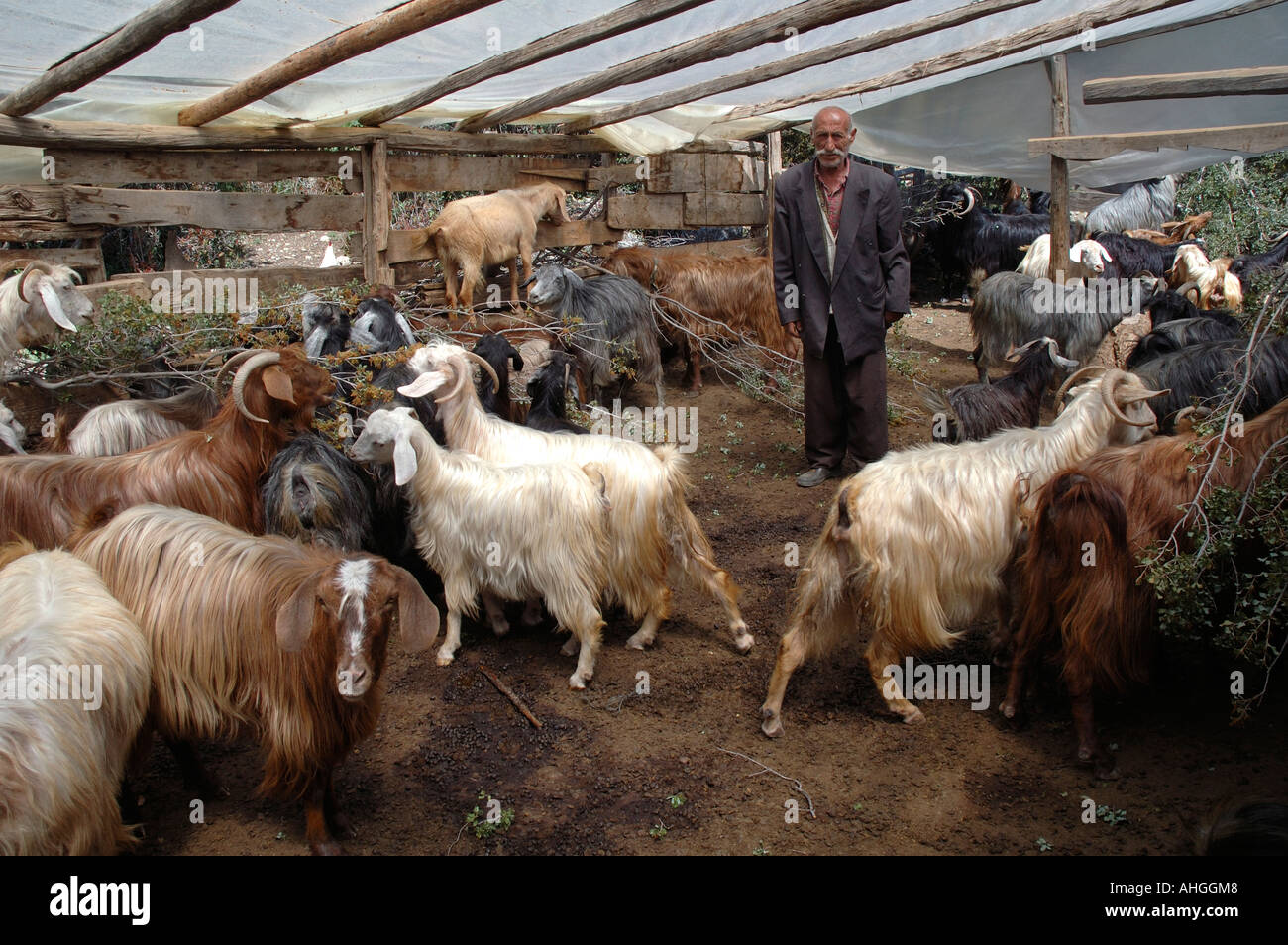 Muslim in the village of bezirgan turkey hi-res stock photography and ...