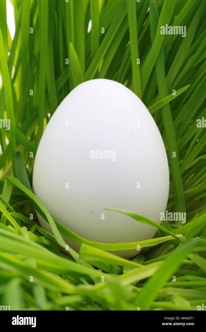 Egg Splat High Resolution Stock Photography and Images - Alamy