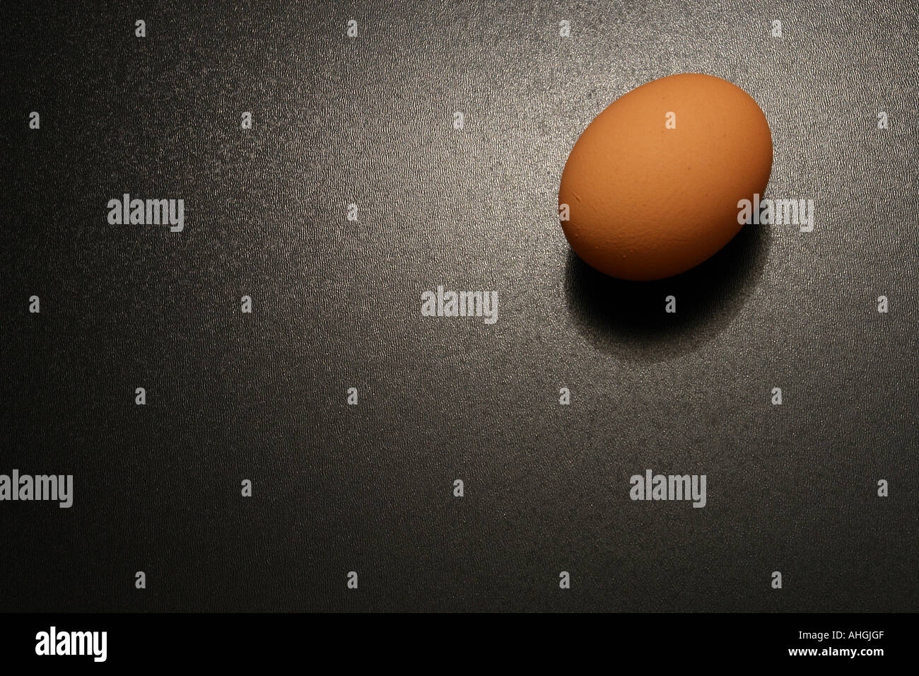 an egg in dramatic lighting Stock Photo - Alamy