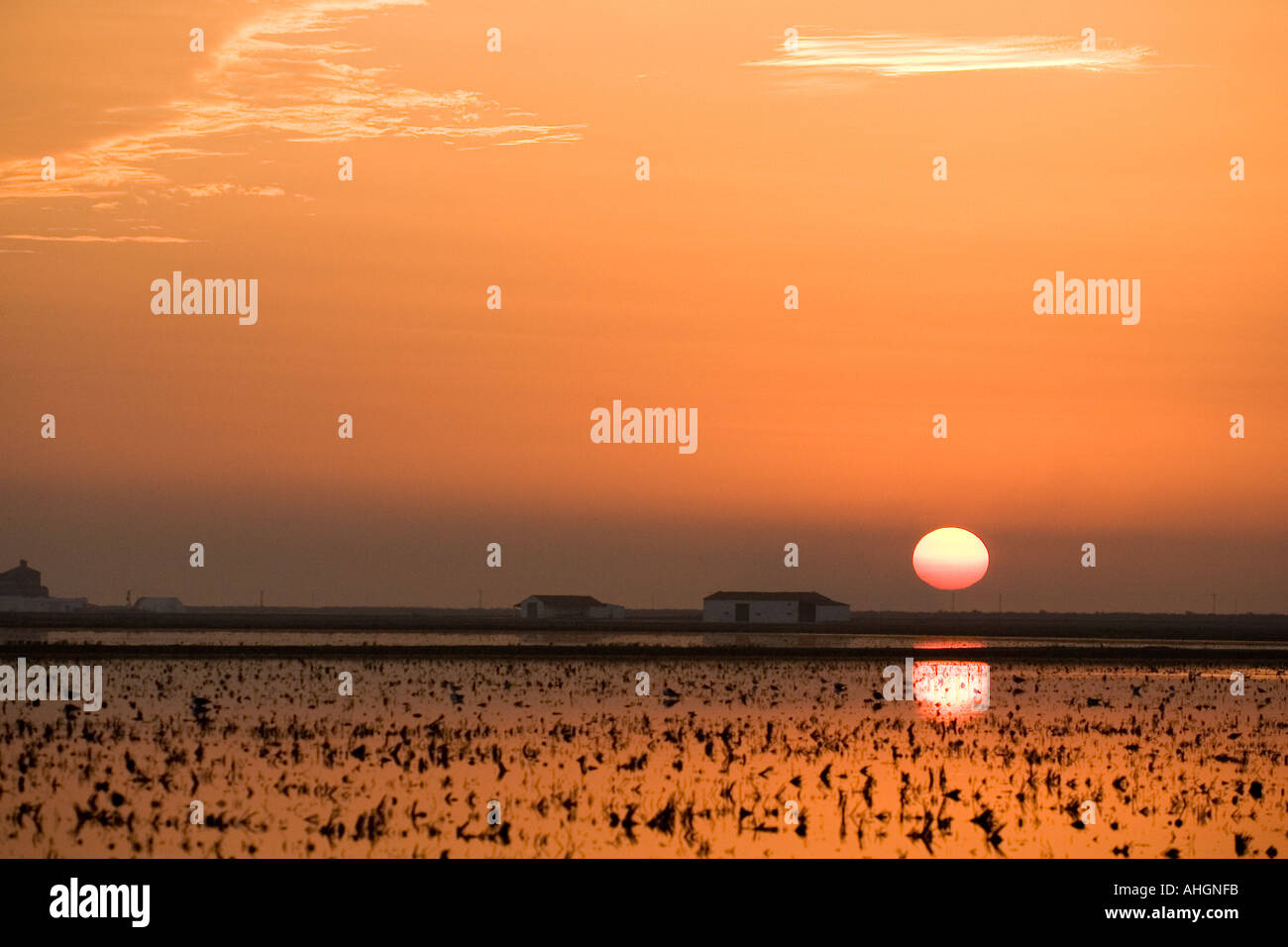 Parque nacional marshland hi-res stock photography and images - Alamy