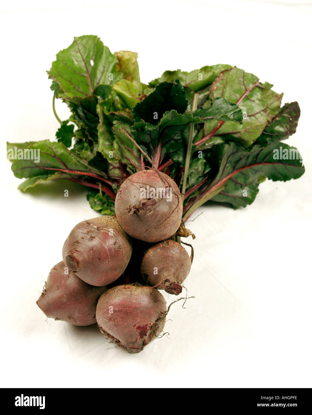 Beetroot shot in studio Stock Photo - Alamy