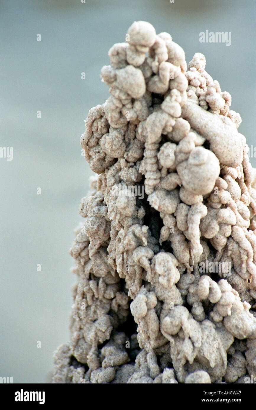 Conceptual image for summer vacation showing a wet sea sand dripped ...