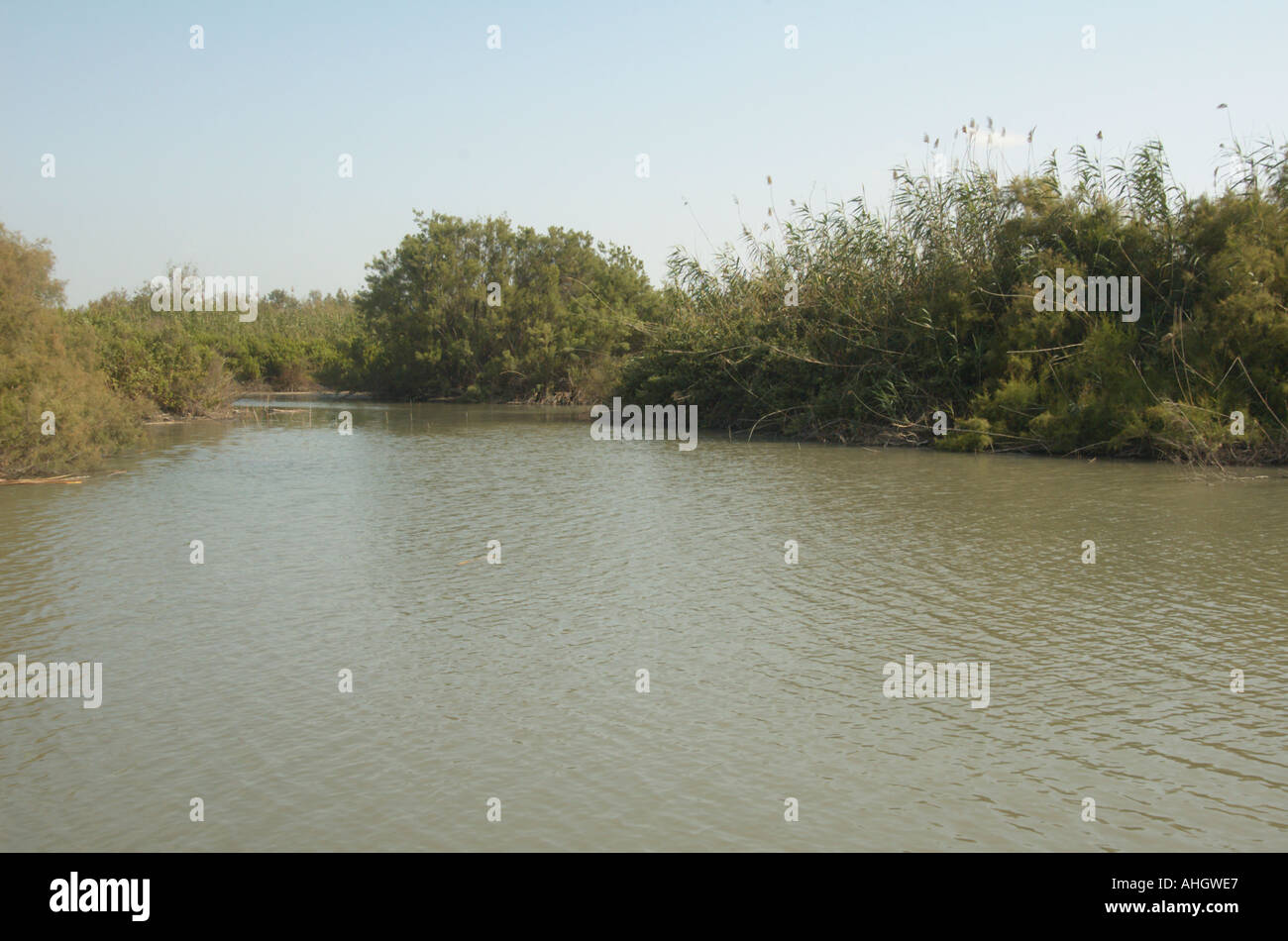 Papyrus growing hi-res stock photography and images - Alamy