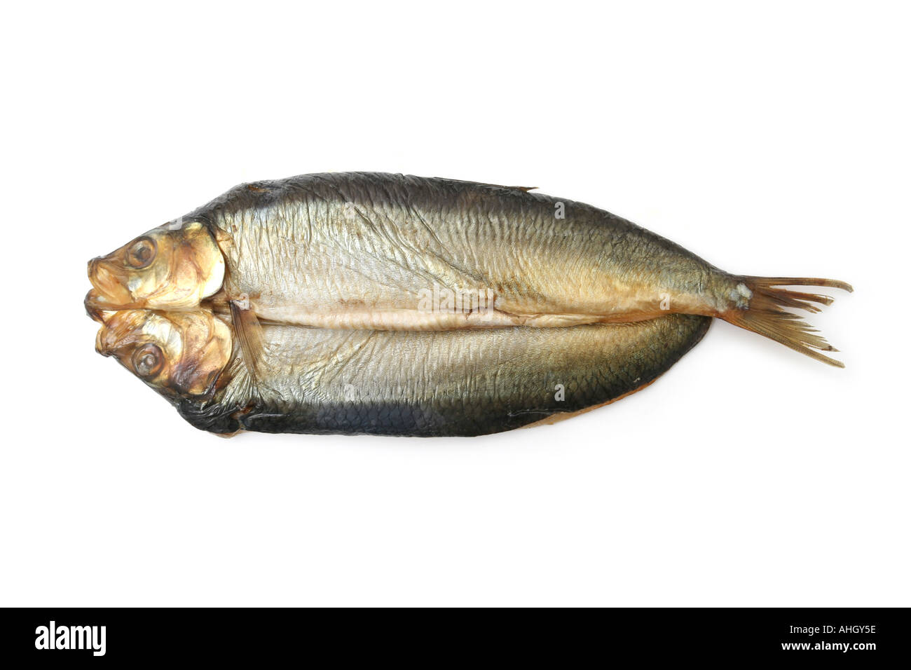 Traditional whole smoked Kipper studio still life on a white background ...