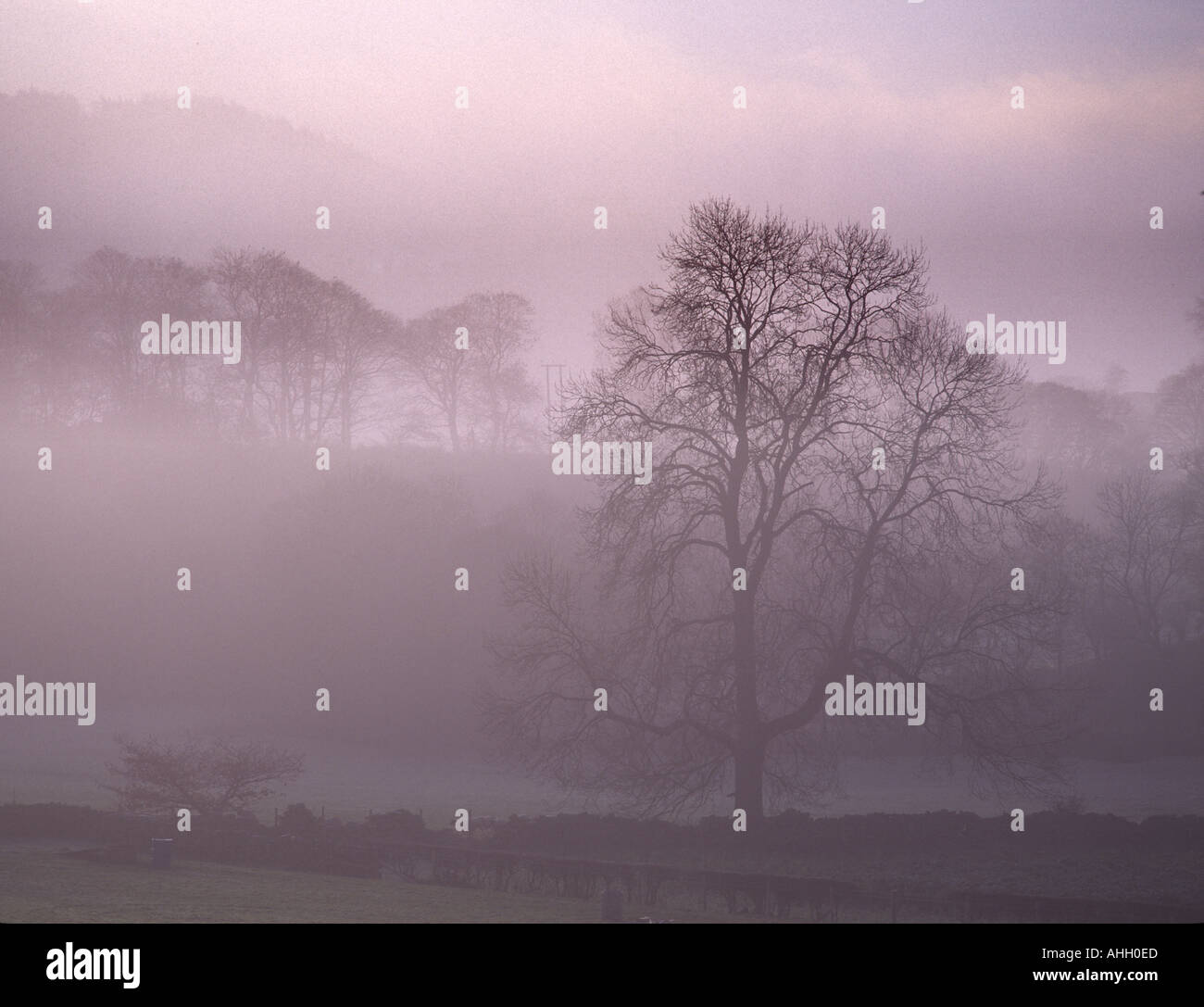 Weather fog mikekiplingcom hi-res stock photography and images - Alamy