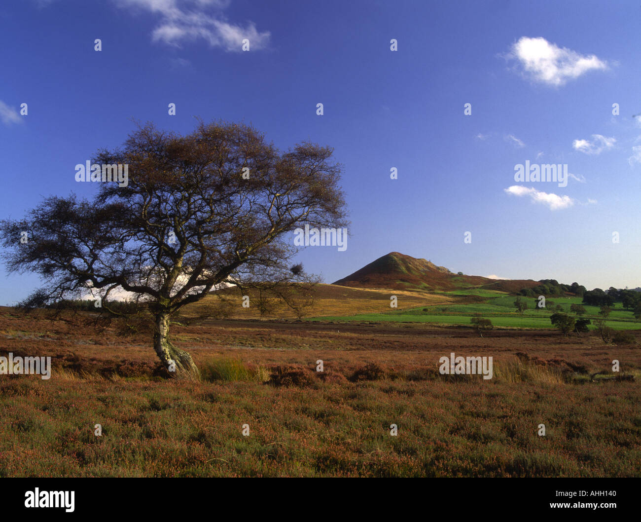 Hawnby hill moors hi-res stock photography and images - Alamy