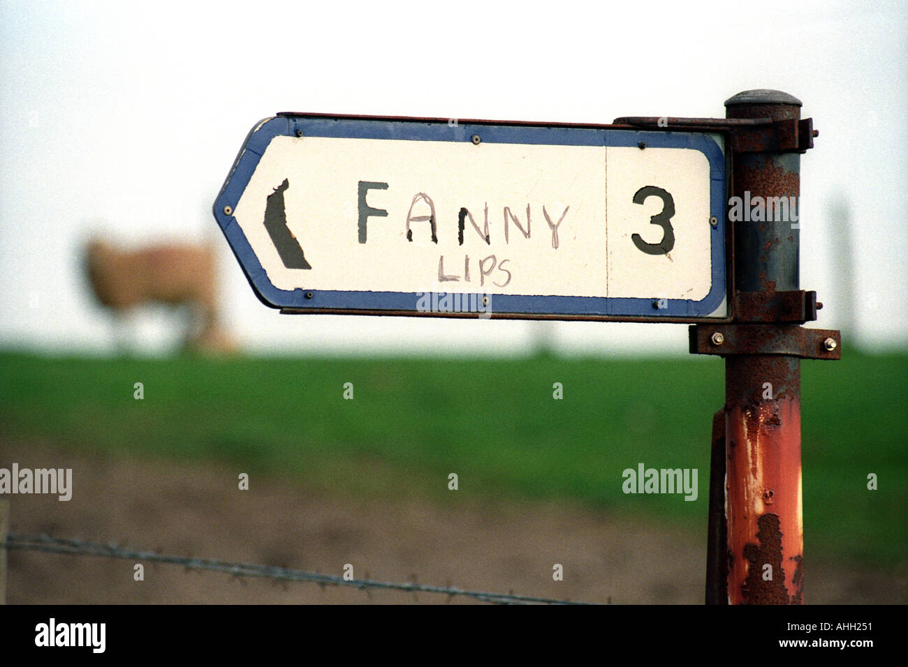 Defaced road signs hi-res stock photography and images - Alamy