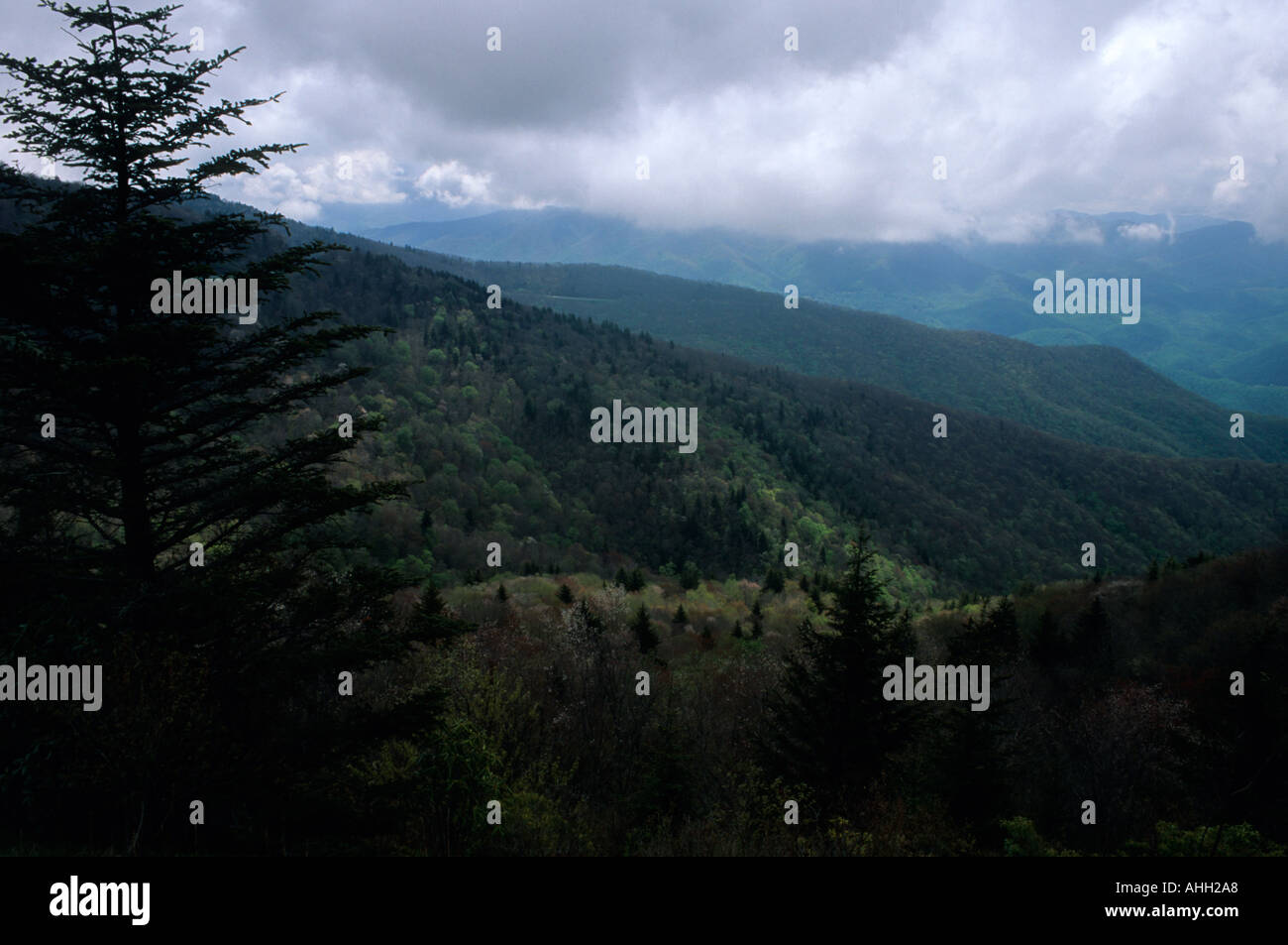 Early Spring Scenic Blue Ridge Parkway NC Stock Photo - Alamy