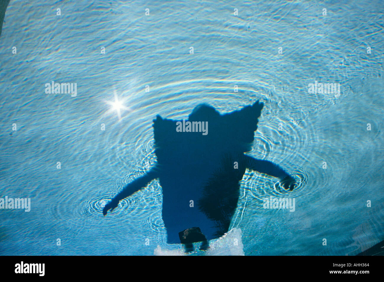 Shadow on bottom of swimming pool hi-res stock photography and images ...