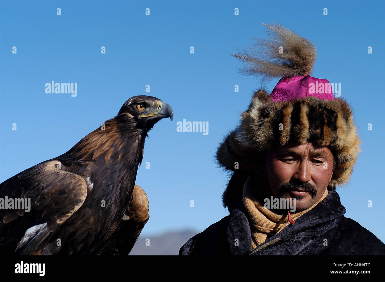 An eagle hunter prepares to demonstrate his eagle for spectators at the ...