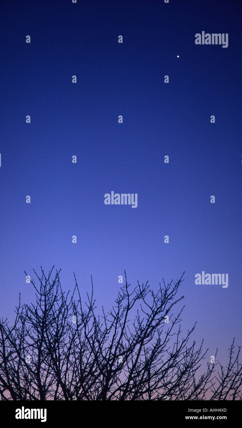 Star in Early Morning Sky Stock Photo - Alamy