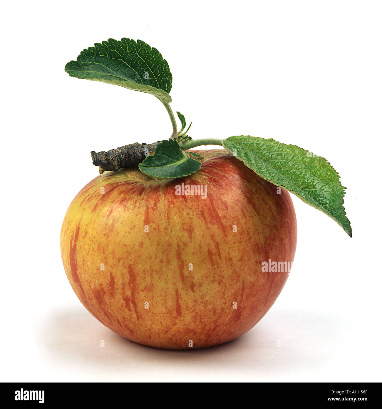 Jonagold apple hi-res stock photography and images - Alamy