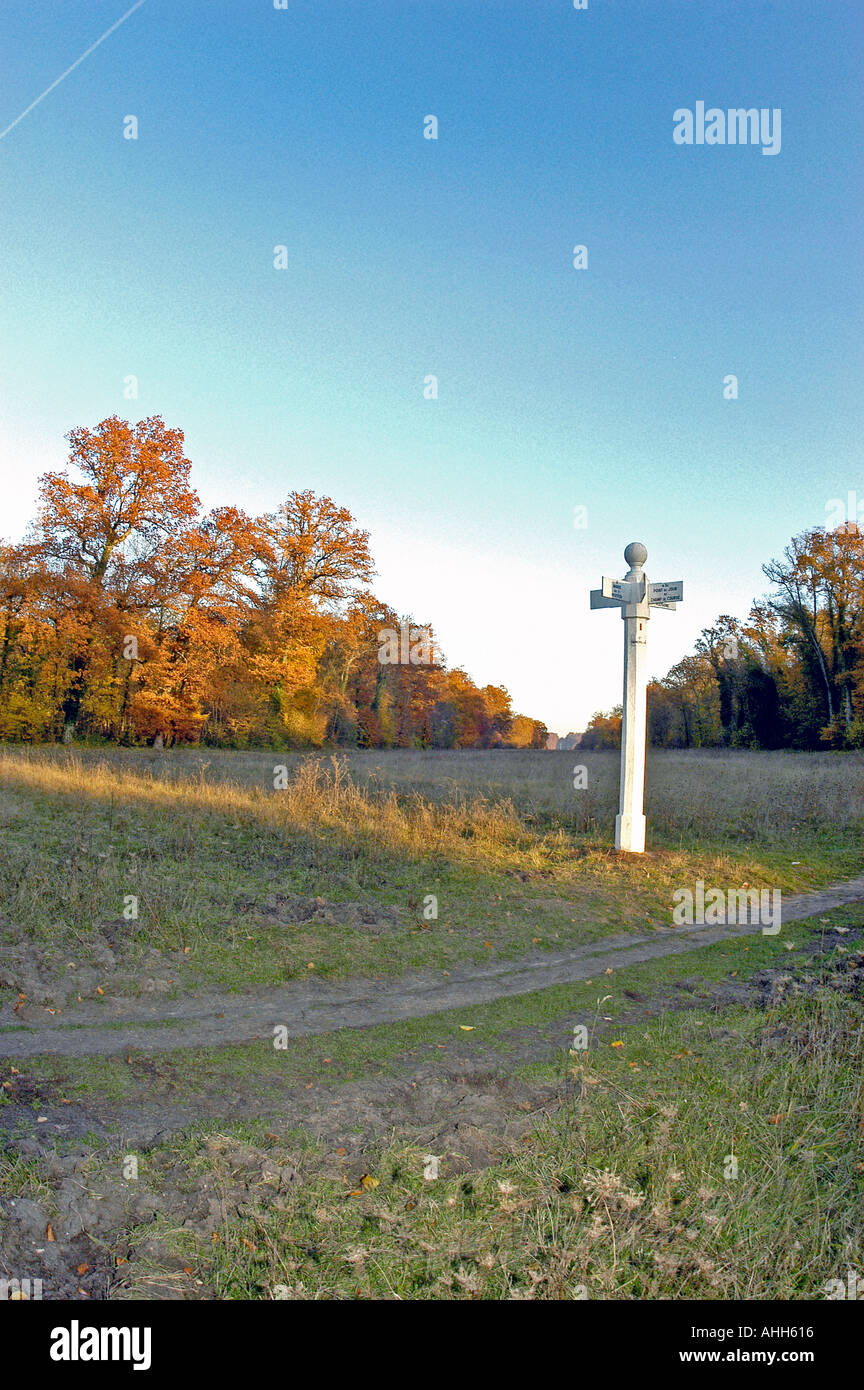 Compiegne France, crucifix Cross Sign Post Showing Directions in Forest ...