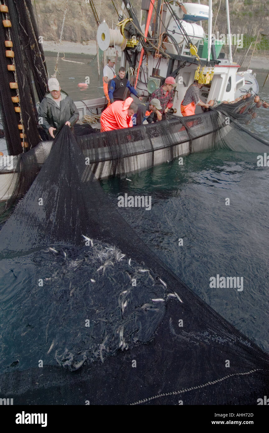 Fishing weir native hi-res stock photography and images - Alamy