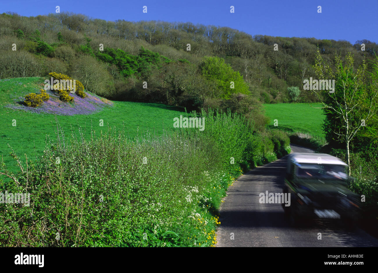 Dorset country road in springtime England UK Stock Photo - Alamy